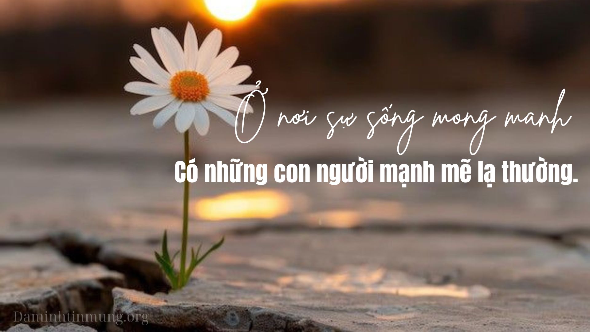 “Ở nơi sự sống mong manh – có những con người mạnh mẽ lạ thường” - Hiệp ...